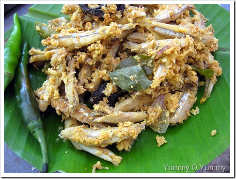 Anchovies/Netholi/Chooda Peera Pattichathu | Yummy O Yummy